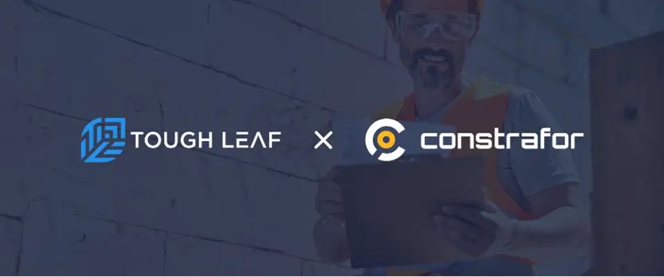 Everything You Need To Know About Safe Harbor Plans | Tough Leaf