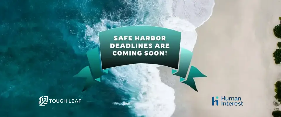 Everything You Need To Know About Safe Harbor Plans | Tough Leaf