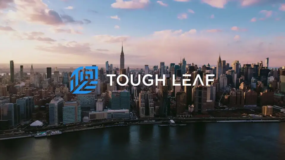 Tough Leaf reaches $110 million in projects awarded to diverse firms | Tough Leaf