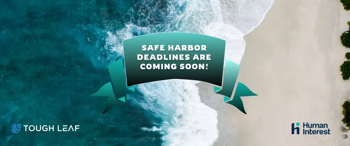 Everything You Need To Know About Safe Harbor Plans | Tough Leaf